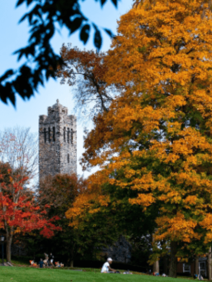 trees - Office of Sustainability